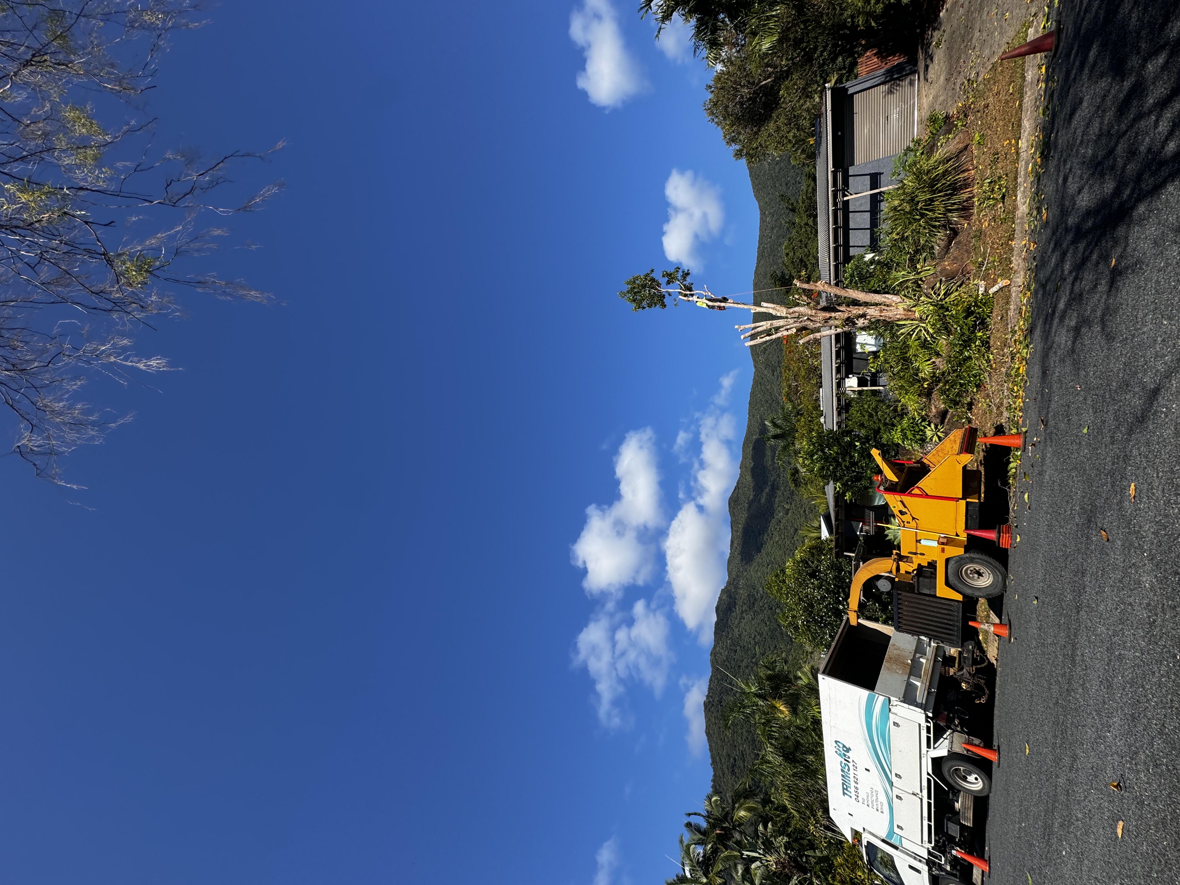 Steady Eco — Landscaping, Tree Work & Blade Sharpening | Cairns, FNQ
